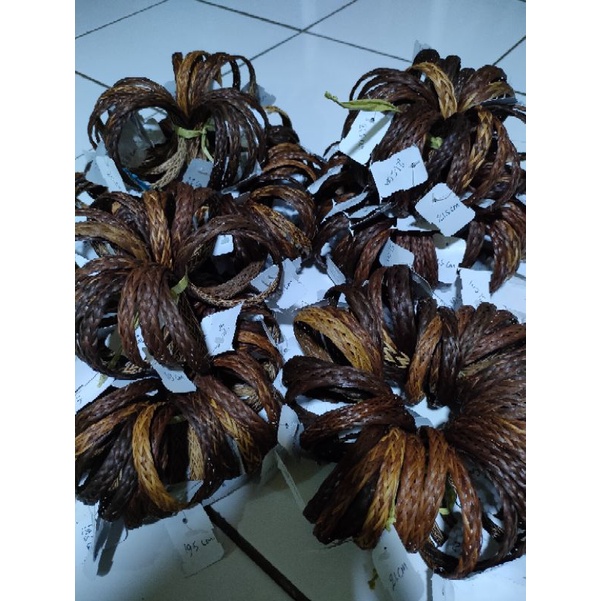 Jual Gelang Tangan Simpai (dua alur) Bahan Handam resam pakuandam khas ...