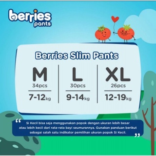 Jual BERRIES POPOK CELANA BAYI/DIAPERS PANTS | Shopee Indonesia