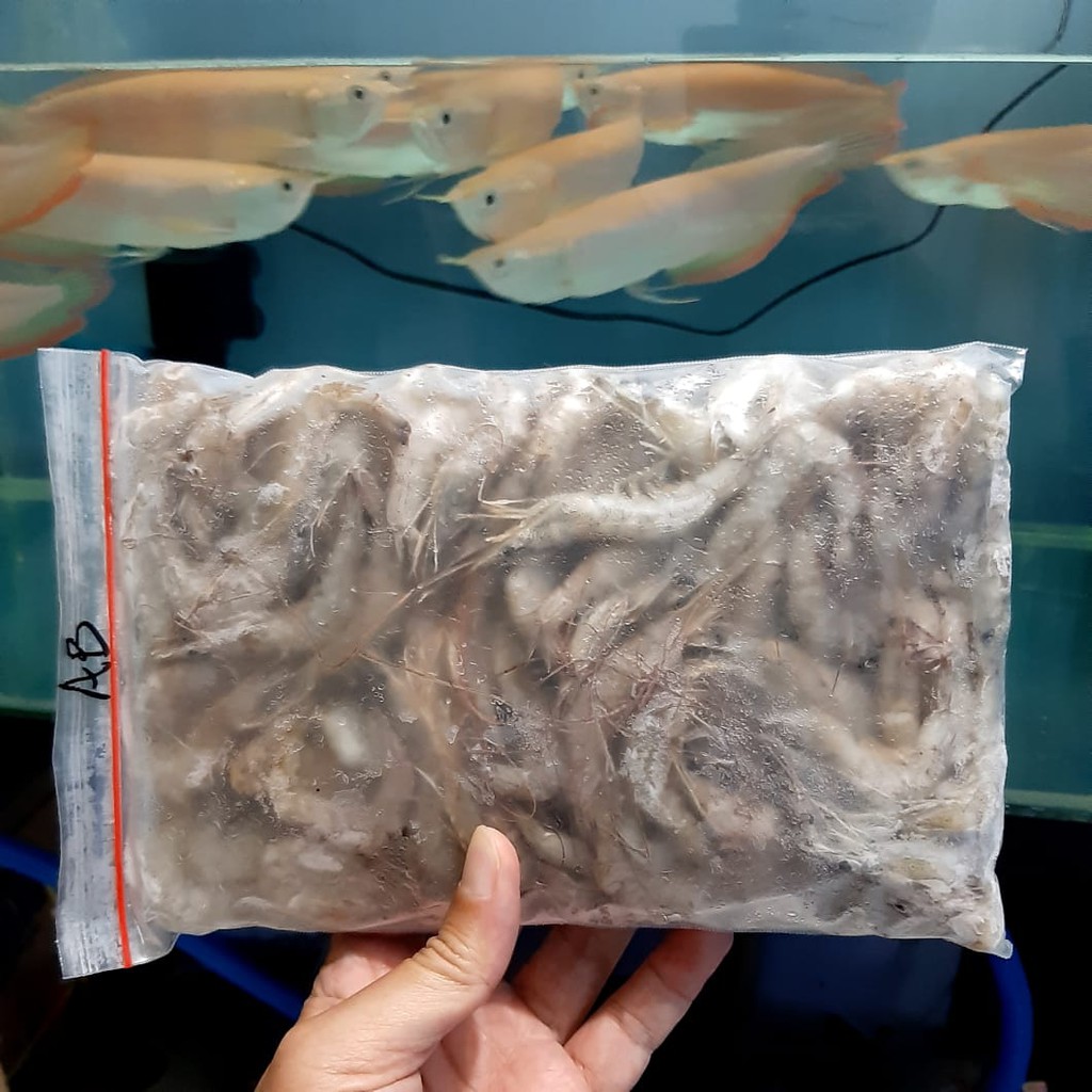 Jual Udang Tambak Beku Size Besar Pakan ikan Predator Arwana Kemasan ...