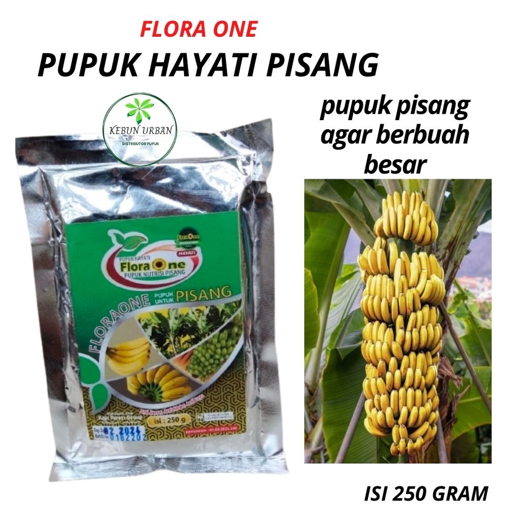 Jual Pupuk Pisang Agar Berbuah Lebat Reliq Booster Pisang, Pupuk Untuk Pisang Tanduk Indonesia ...