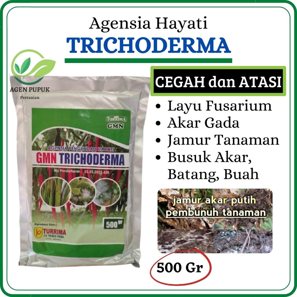 Jual TRICHODERMA Obat Penyakit Jamur Genoderma Pada Kelapa Sawit ...