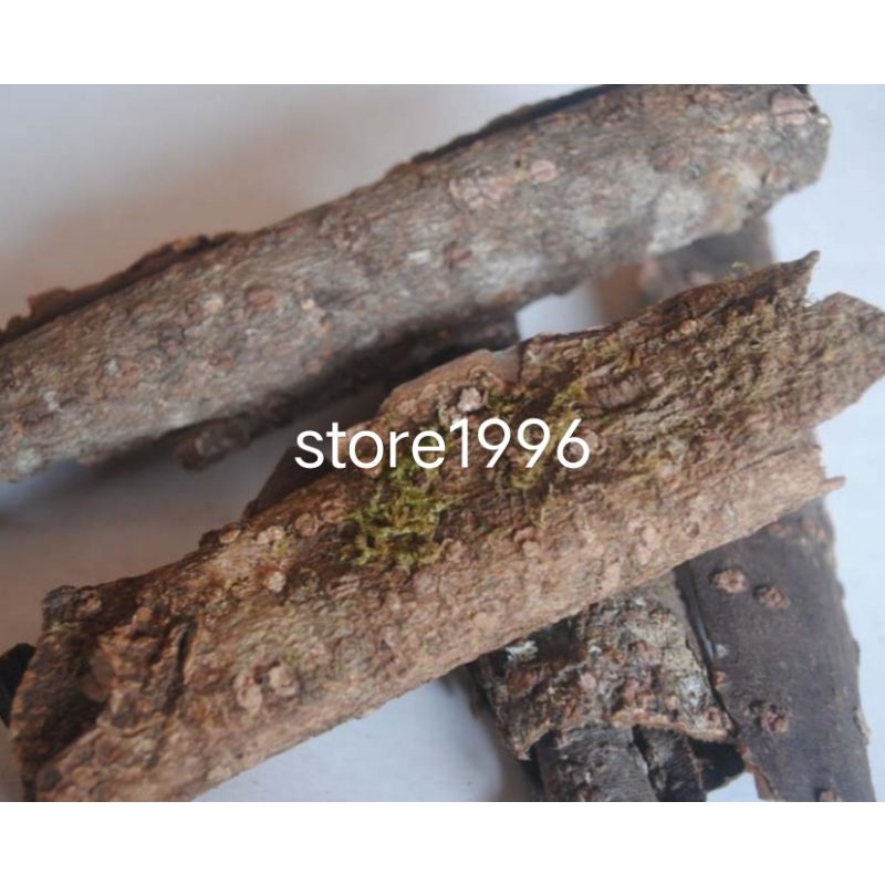 Jual kayu Lemo wangi kulit kilemo kering 300 gram | Shopee Indonesia