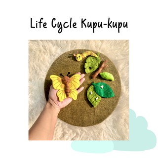 Jual Life Cycle Lebah Madu dan Kupu-kupu Belajar Daur Hidup Siklus ...