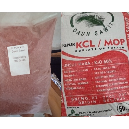 Jual Pupuk KCL MOP Daun Sawit repacked kemasan 500 Gram | Shopee Indonesia