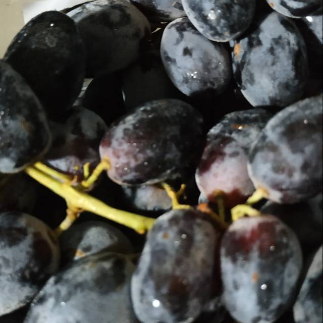 Jual Anggur aussie/Aussie grape | Shopee Indonesia