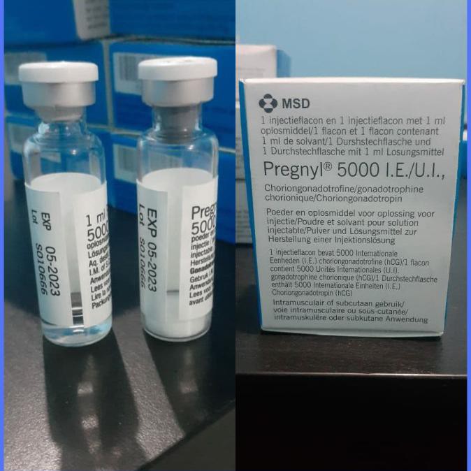 Jual Ikan/ Pregnyl Iu 5000 Original | Shopee Indonesia