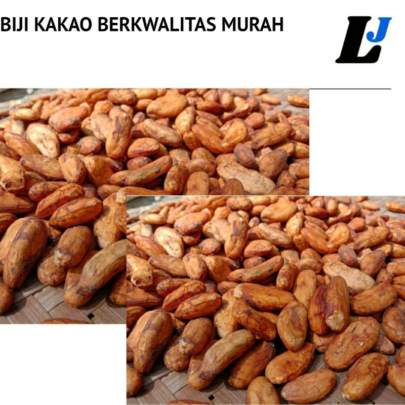 Jual BIJI KAKAO / Biji Coklat Kering KWALITAS SUPER | Shopee Indonesia
