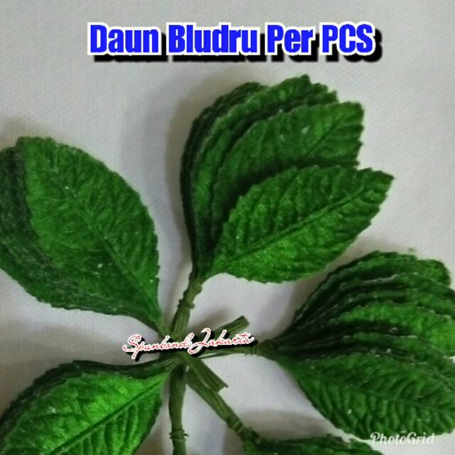 Jual Daun bludru per PCS | Shopee Indonesia