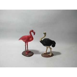 Jual Rare Bird Burung Unta Onta Ostrich Emu Flamingo Jadul Pink Retro ...