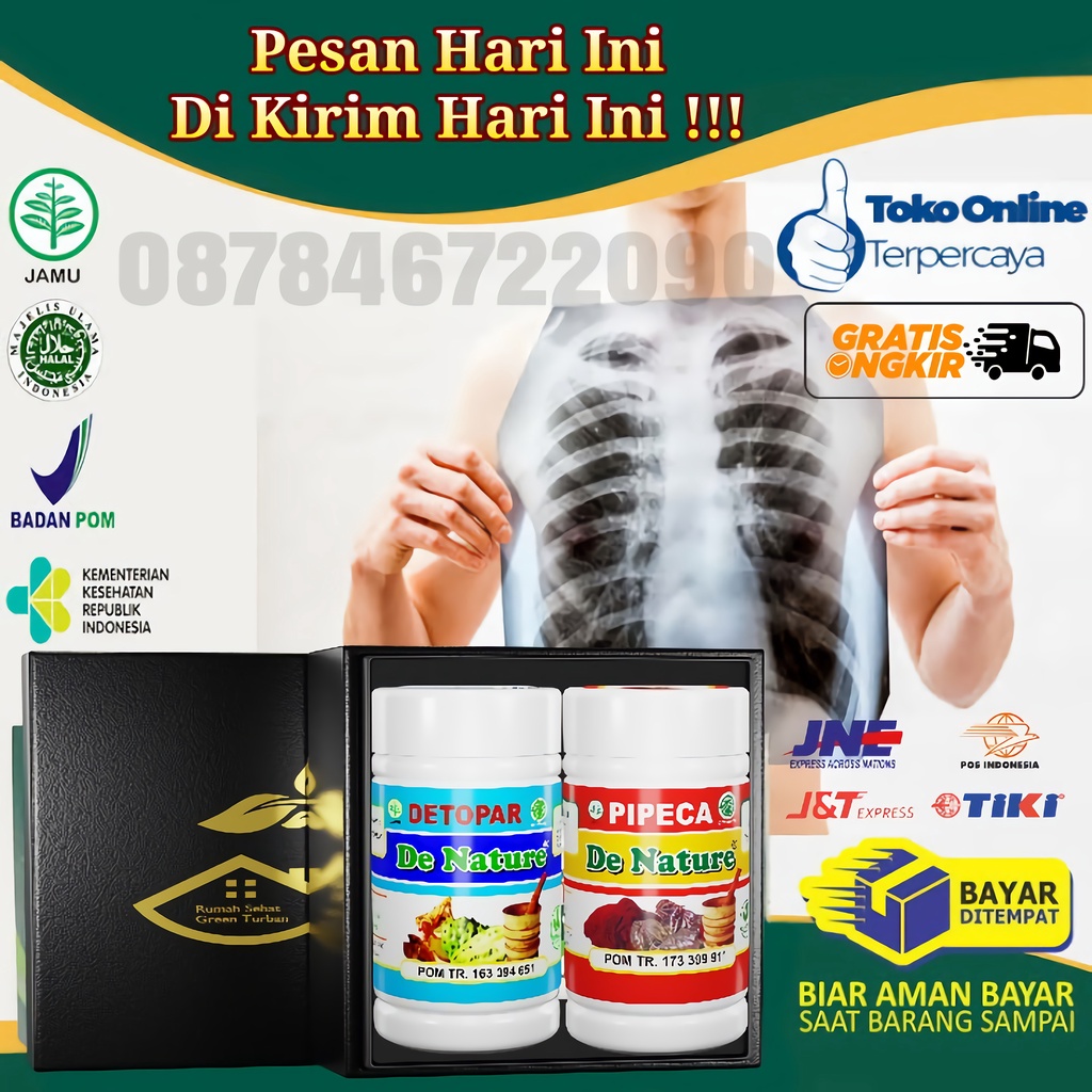 Jual Obat & Pengobatan Sakit Paru,Ispa,Sesak Nafas,Asma,Radang Paru ...