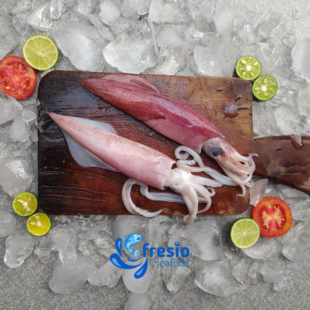 Jual Cumi Cumi Jarum PREMIUM LOKAL Segar dan Bergaransi / Pack | Shopee ...