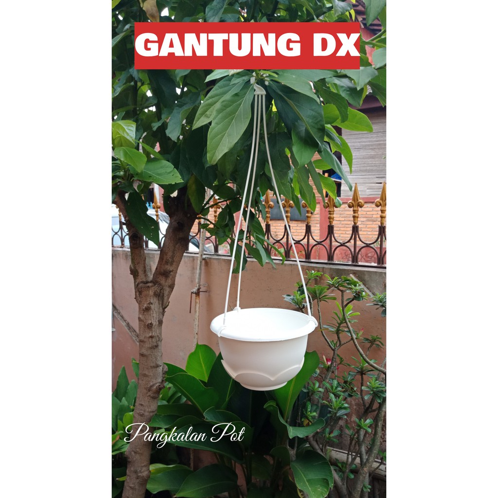 Jual POT GANTUNG DX putih pot bunga gantung diameter 21cm ada tutup ...