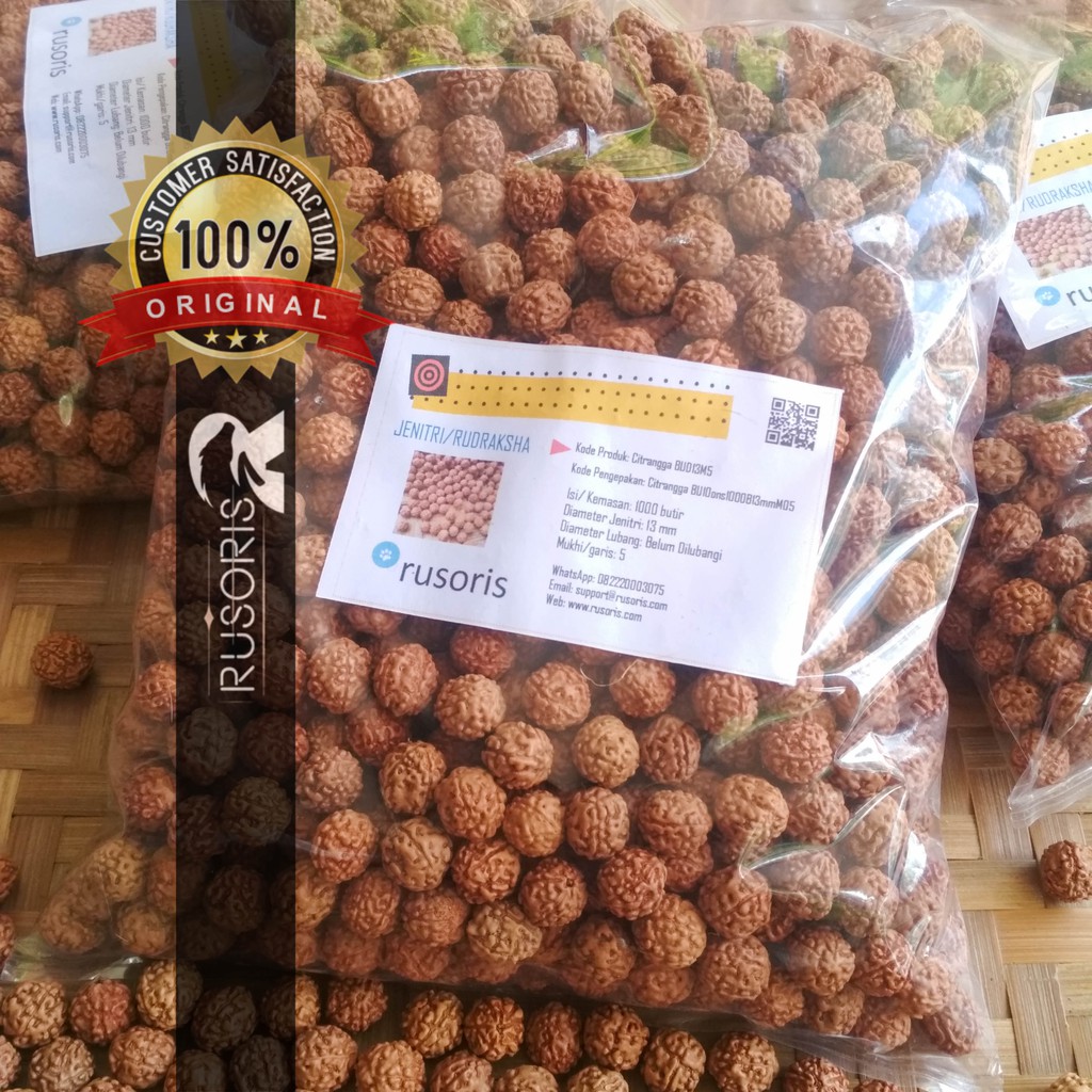 Jual Jenitri Ukuran 13 mm 1000 biji Rudraksha Asli Tidak Campur Manik ...