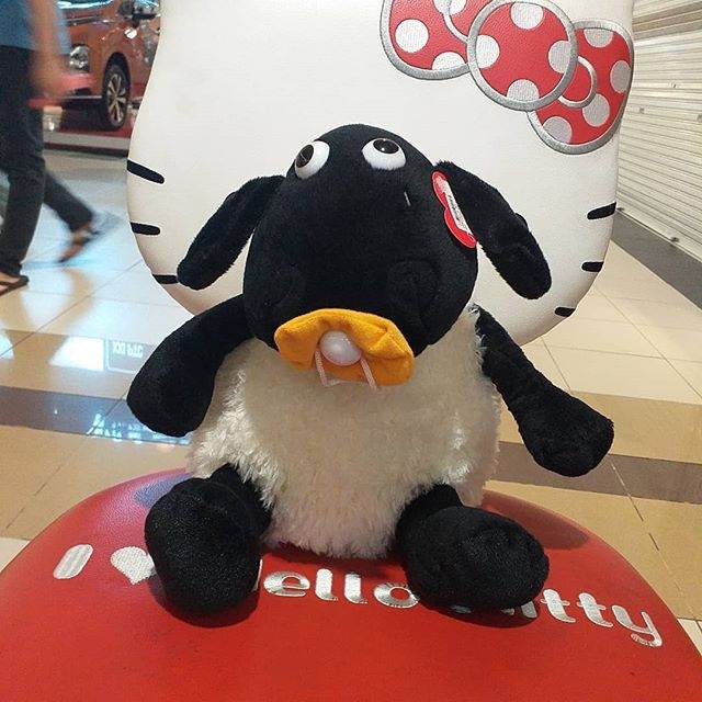 Jual Boneka domba dot | Shopee Indonesia