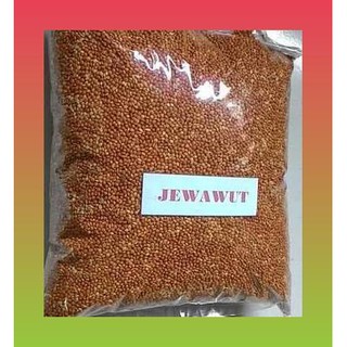 Jual BIJI JAWAWUT / OTEK / JEWAWUT 1 KG | Shopee Indonesia
