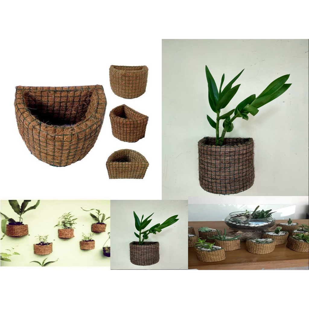 Jual Pot Anggrek Tempel bisa bayar di tempat | Shopee Indonesia