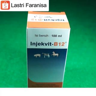 Jual Vitamin B12 Injeksi Injecvit B12 100 ml Injecvit Medion B12 ...