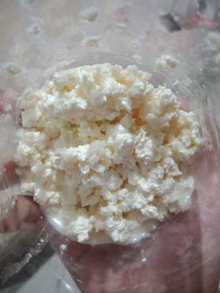 Jual Bibit Kefir ASLI / ORIGINAL / Milk Kefir Grains / Kefir Grains ...