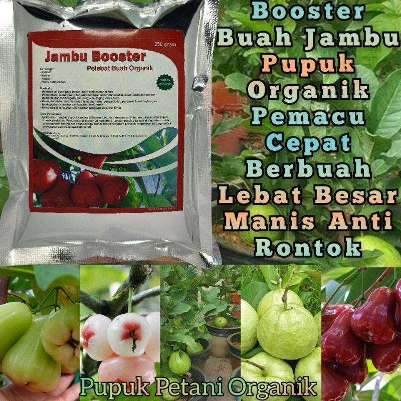 Jual Pupuk Organik Booster Jambu Perangsang Buah Agar Cepat Berbuah Lebat 250 gram. | Shopee ...