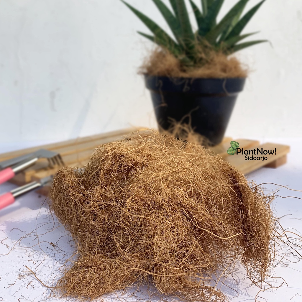 Jual Coco Fiber Cocofiber Serat Sabut Kelapa 150gr | Shopee Indonesia
