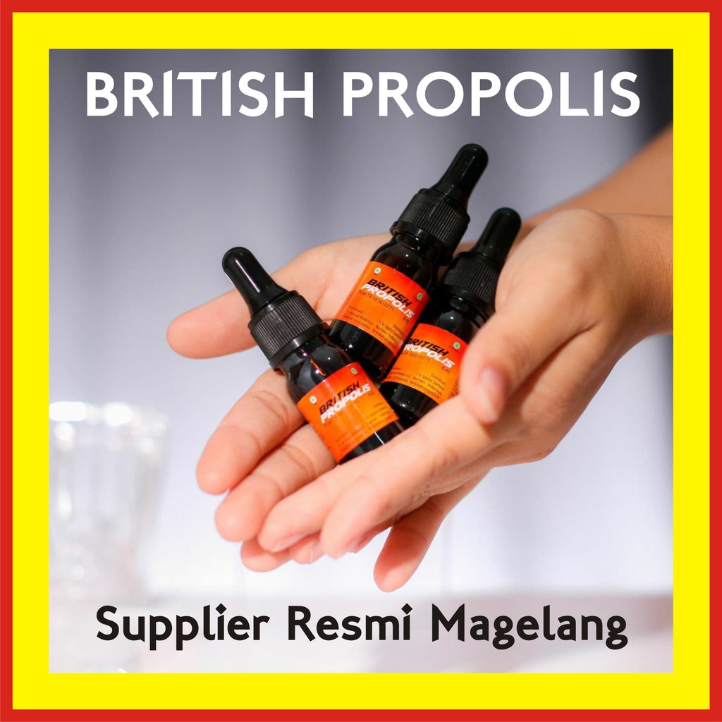 Harga Propolis Official Terbaru Mar 2025 | BigGo Indonesia