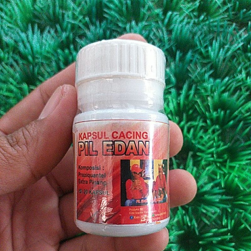Jual OBAT CACING PIL EDAN MERPATI TINGGIAN KHUSUS BUAT MERPATI CACINGAN ...