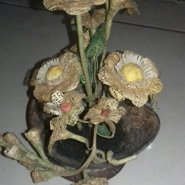 Jual bunga rangkaian kepompong | Shopee Indonesia