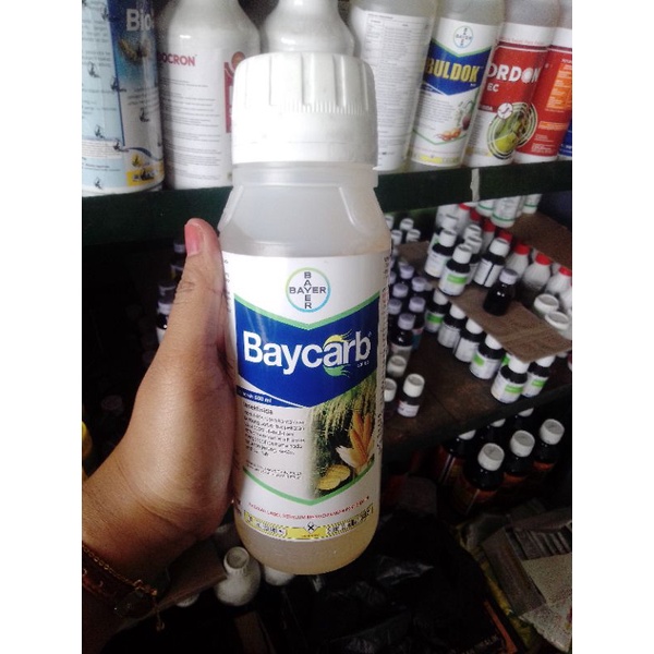 Jual BAYCARB BAYER 500EC 500ML /INSEKTISIDA/PESTISIDA/OBAT PERTANIAN ...