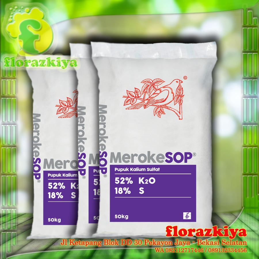 Jual Pupuk Makro Majemuk Kalium + Sulfat Meroke SOP Hidroponik Kemasan ...