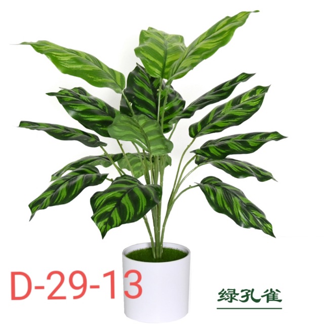 Jual Daun artificial / Daun merak hijau / Daun dekorasi / daun ...