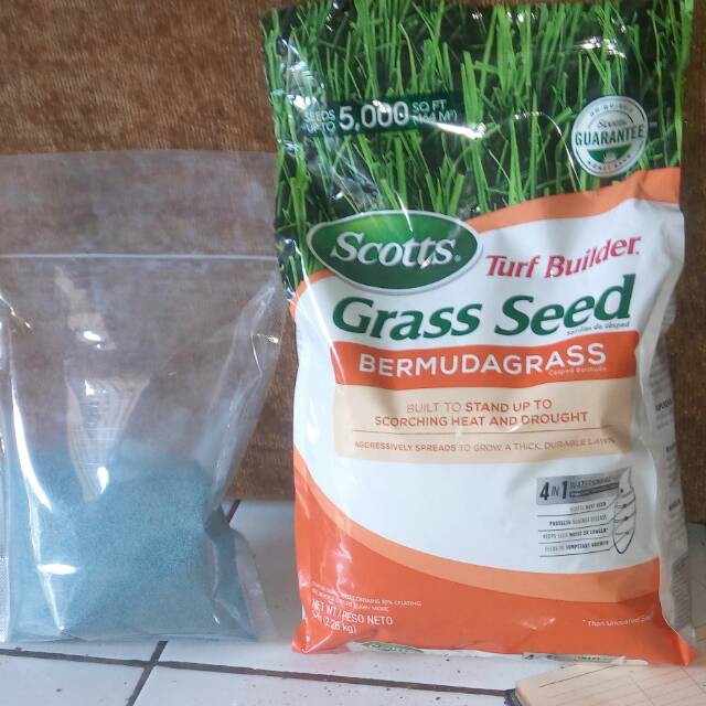 Jual jual Benih rumput golf grass seed 1kg-biji rumput golf grass seed ...