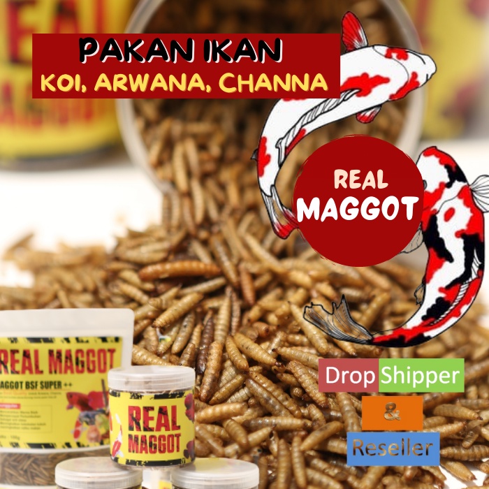 Produk REAL MAGOT | Shopee Indonesia