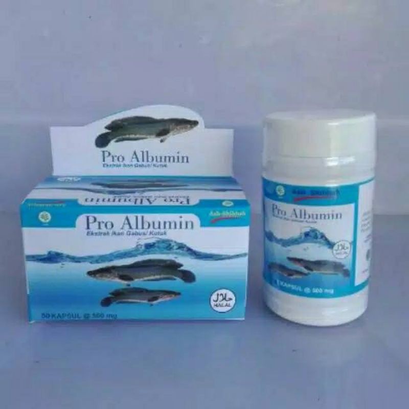 Jual pro albumin 50 kapsul ekstrak ikan gabus kutuk | Shopee Indonesia