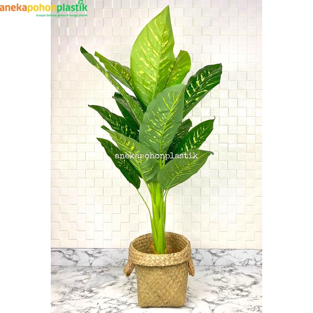 Jual Pohon Hias Daun Sri Rejeki T120 Latex Artificial Cover Anyaman ...