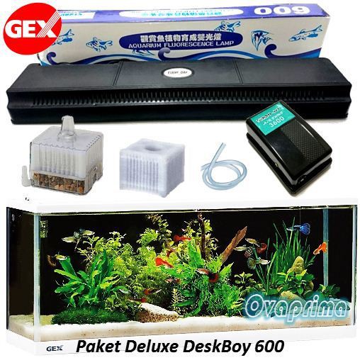 Paket Akuarium Gex DeskBoy 600 Japanese High Quality Aquarium | Shopee Indonesia
