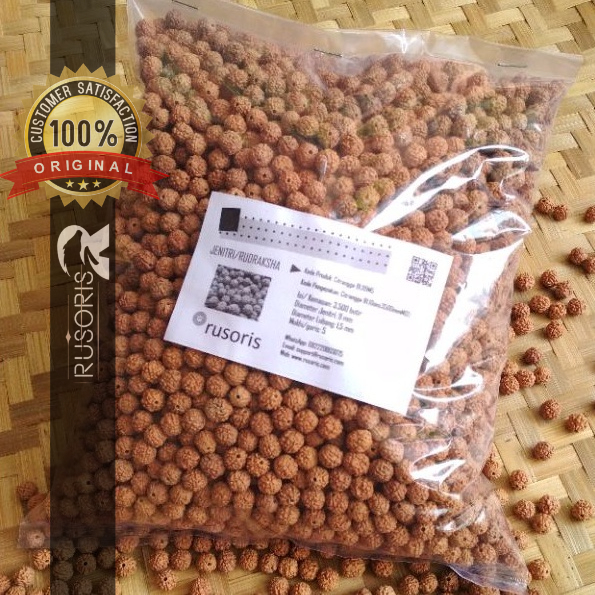 Jual Jenitri Asli Sudah dilubangi 1Kg Rudraksha 9mm 3500biji Genitri ...