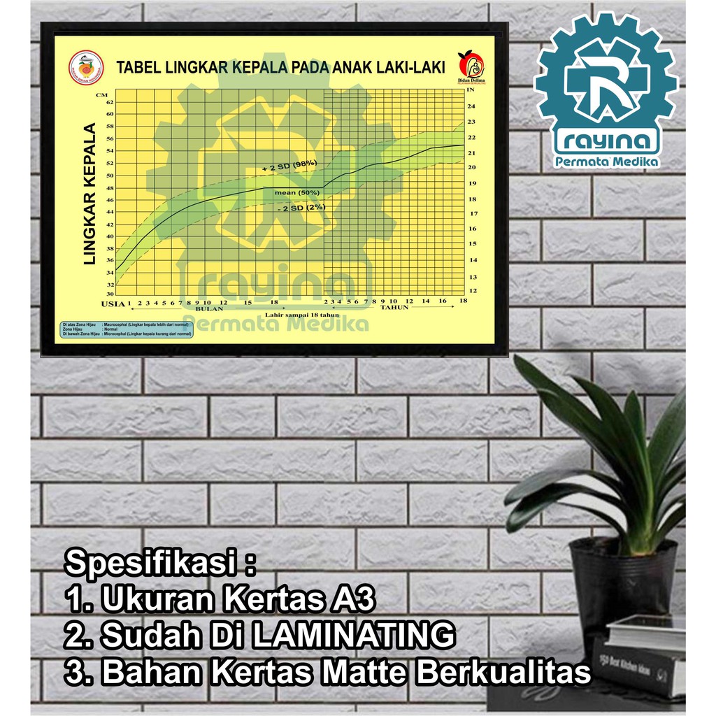 Jual Poster Tabel Lingkar Kepala Pada Anak Laki-Laki | Shopee Indonesia