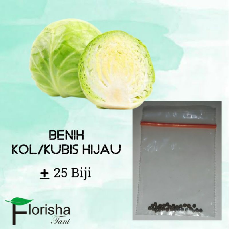 Jual Benih/Bibit/Biji Kol/Kubis Hijau Kemasan Kecil/Repack | Shopee ...