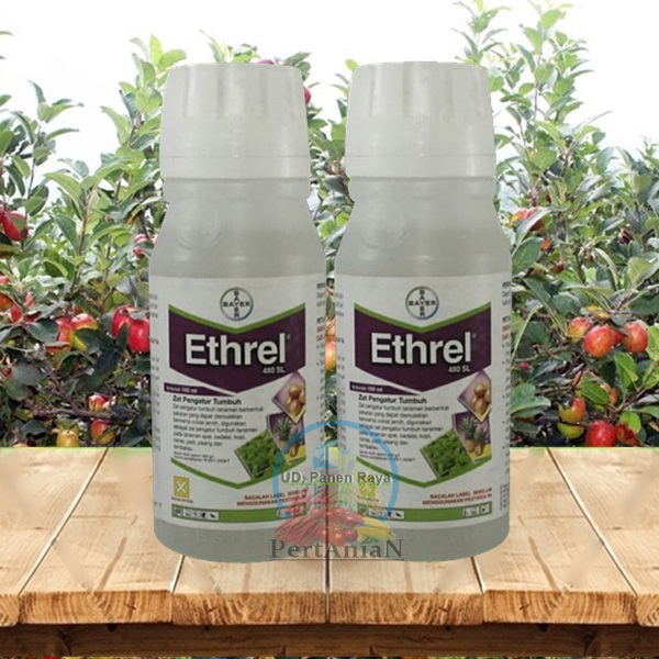 Jual Pupuk Hormon Pemacu Pematang Buah Plus ZPT by Bayer ETHREL 480SL ...