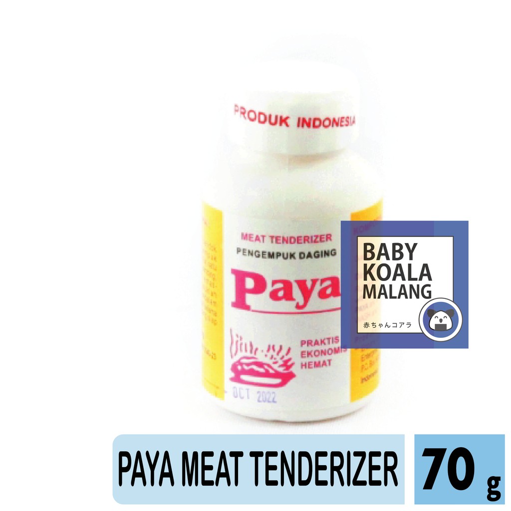 Jual Bubuk Paya Pengempuk Daging 70gr | Meat Tenderizer 70 gr | Shopee ...