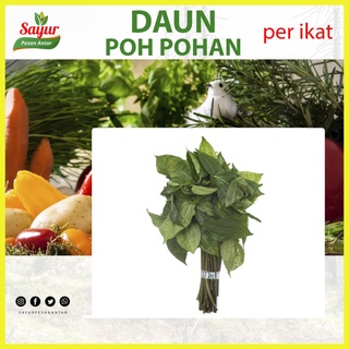 Jual Daun Poh Pohan per ikat | Shopee Indonesia