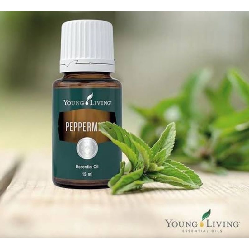 Jual Peppermint Young Living Essential Oil 15 ml (FREE 1 Empty Bottle 1ml) | Shopee Indonesia