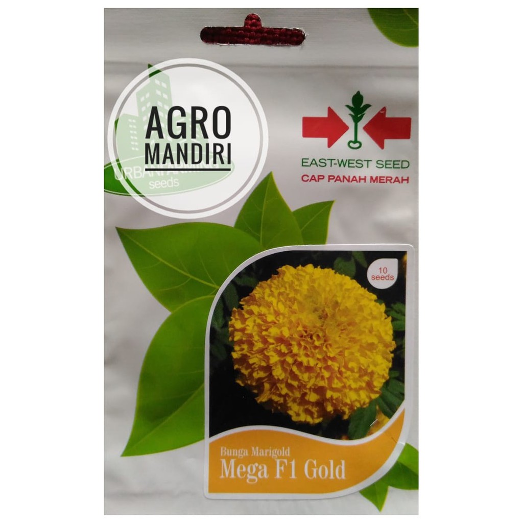 Jual Bibit Benih Bunga Marigold Mega F1 Gold 10 Butir | Shopee Indonesia
