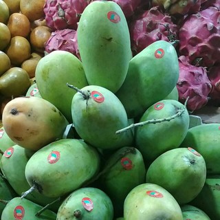 Jual Mangga budi raja, /kg | Shopee Indonesia