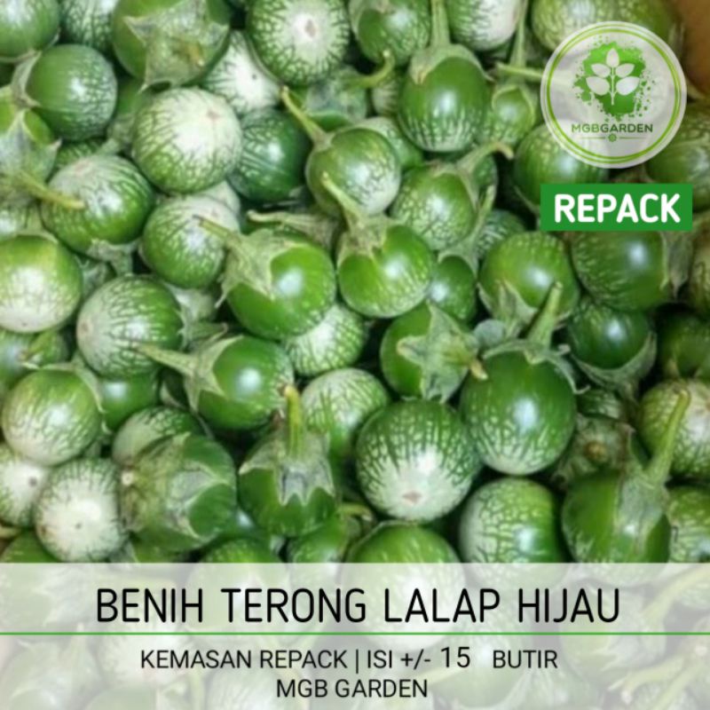 Jual BENIH/BIJI TERONG LALAP HIJAU KEMASAN REPACK | Shopee Indonesia