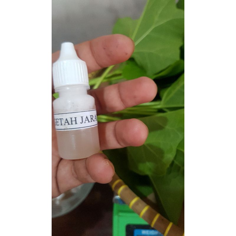 Jual GETAH JARAK 10ML TANAMAN POHON JARAK | Shopee Indonesia