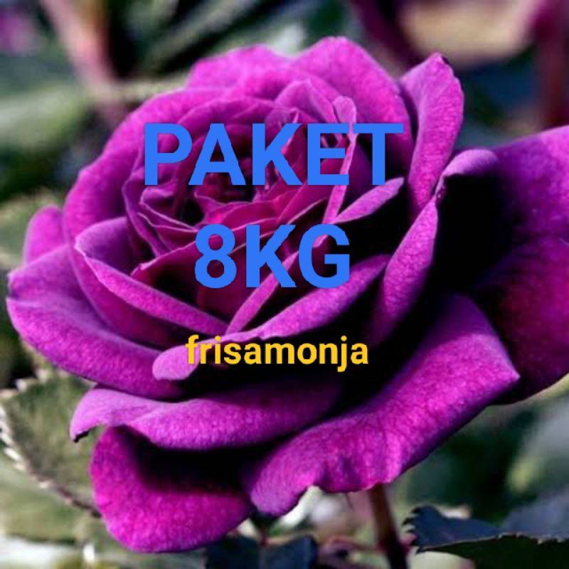 Jual harga 300rb-400rb | Shopee Indonesia