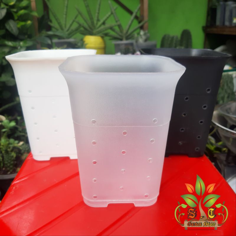 Jual POT KOTAK NKT JUOSS 12 BERLUBANG BENING TRANSPARAN HITAM & PUTIH ...