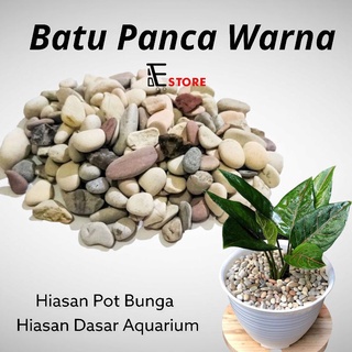 Jual BATU CORAL PANCAWARNA AQUARIUM 500 G / BATU AQUARIUM / BATU ...