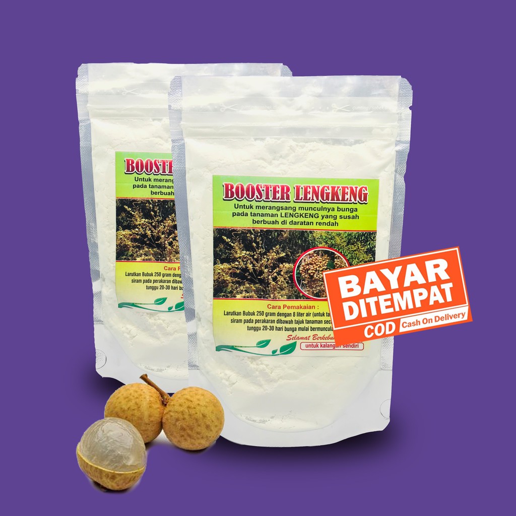 Jual Booster Kelengkeng Pupuk Perangsang Buah Kelengkeng Indonesia|Shopee Indonesia